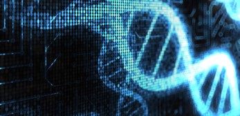 La presse informatique et numérique